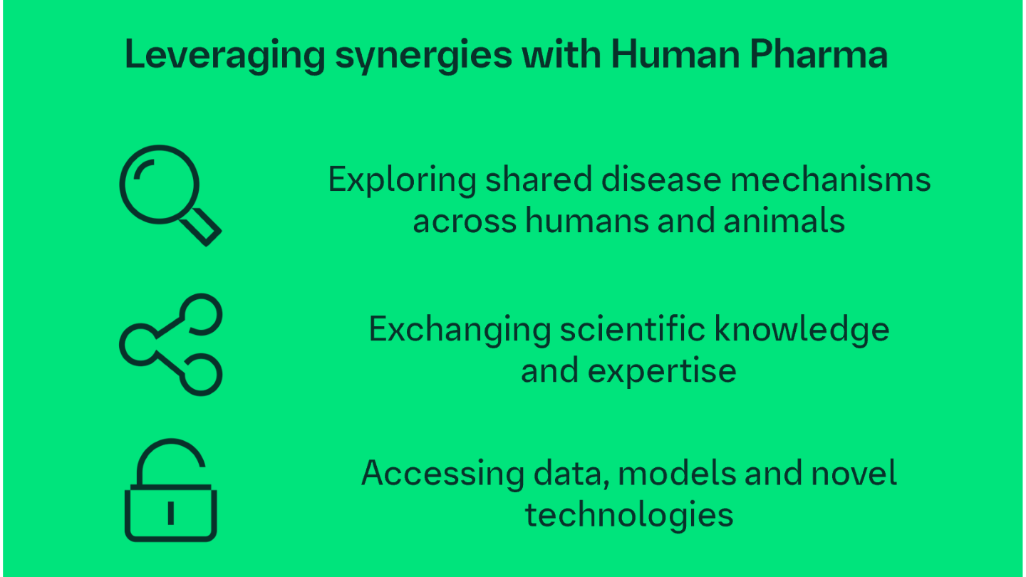 Translating Human Pharma Science into Animal Health Innovation
